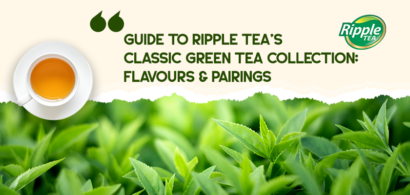 Munnar Green Tea – Explore the Taste of Premium Green Tea from the Hills