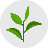 About Us - Ripple Tea